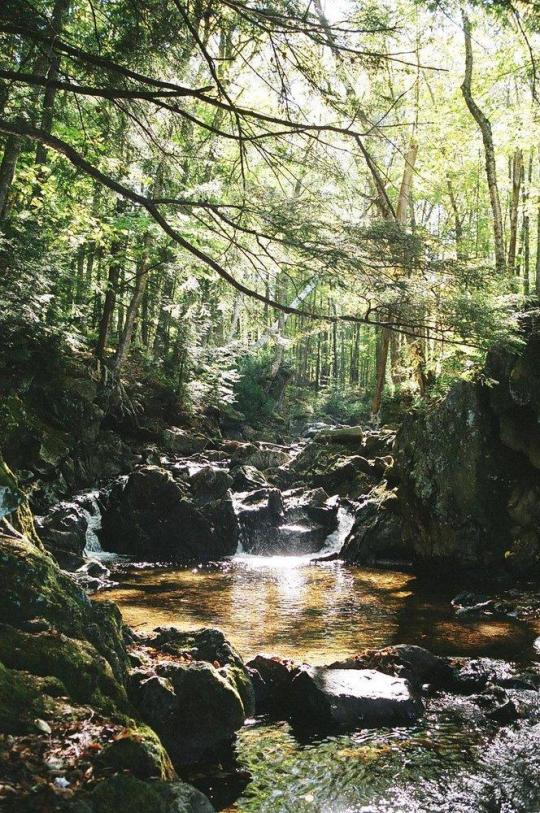 Campgrounds and Camping - Vermont State Parks