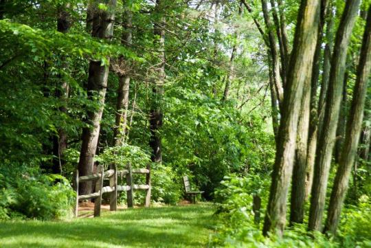 Campground Details - Wilgus State Park, VT - Vermont State Parks