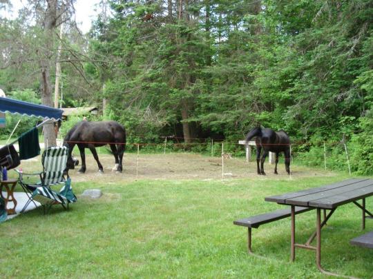 Campground Details - New Discovery State Park, VT - Vermont State Parks